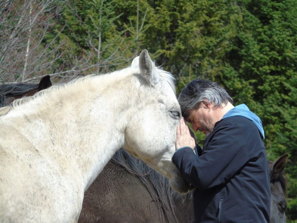 Sandra Friedrich and Animal Forgiveness Coaching | Réalité Animale ...